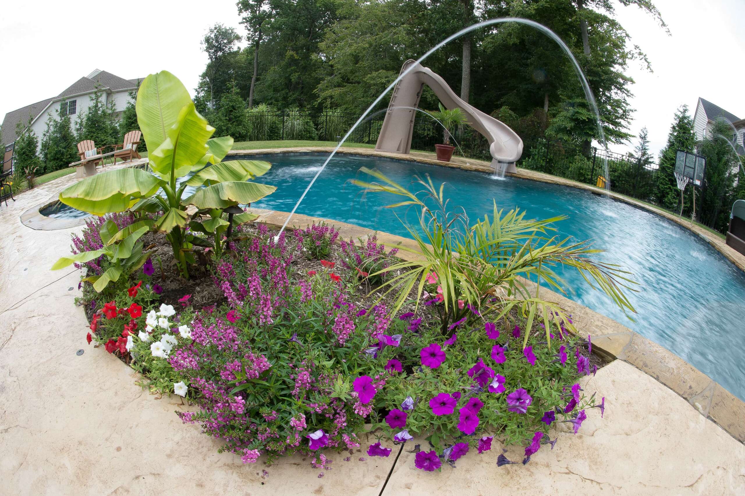 Freeform Pools - Triton Pools